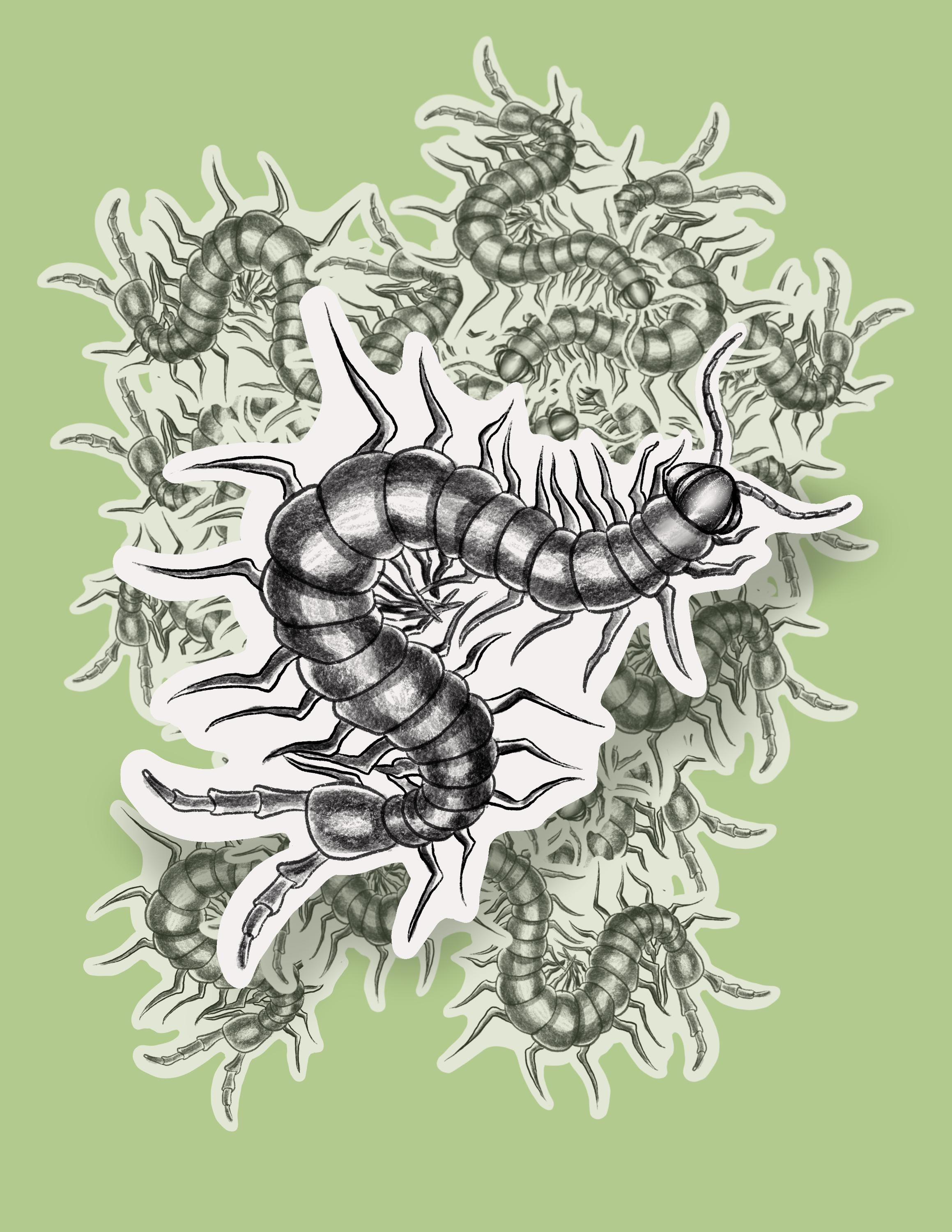 Gothic Centipede Sticker – Dark Art Vinyl Decal - Etsy