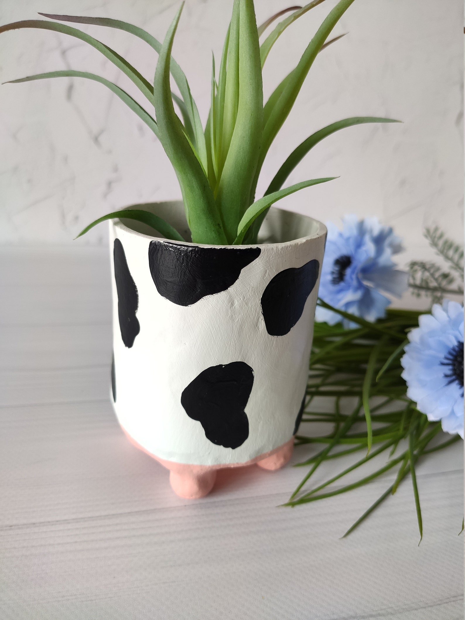 Cow Pot With Saucer Unique Pots for Plants Cow Print Pot With - Etsy