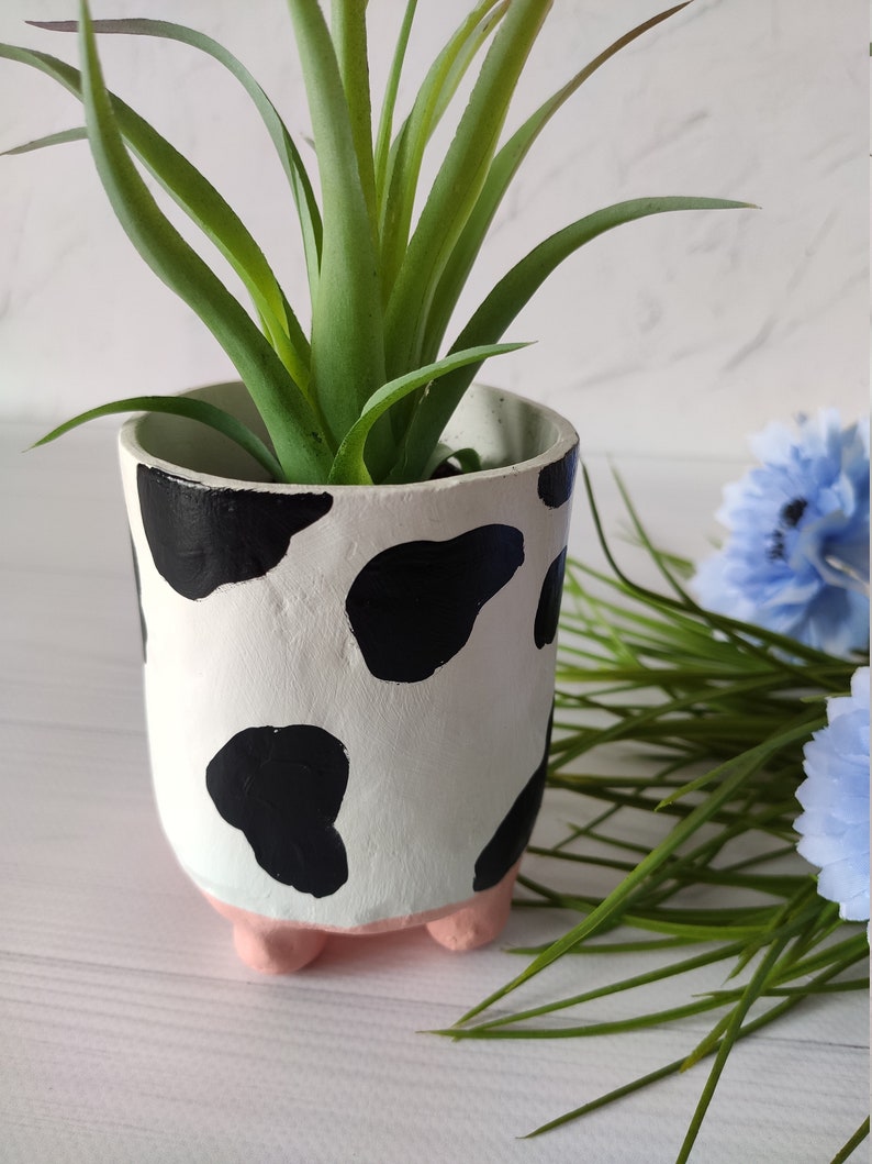 Cow Pot With Saucer Unique Pots for Plants Cow Print Pot With - Etsy