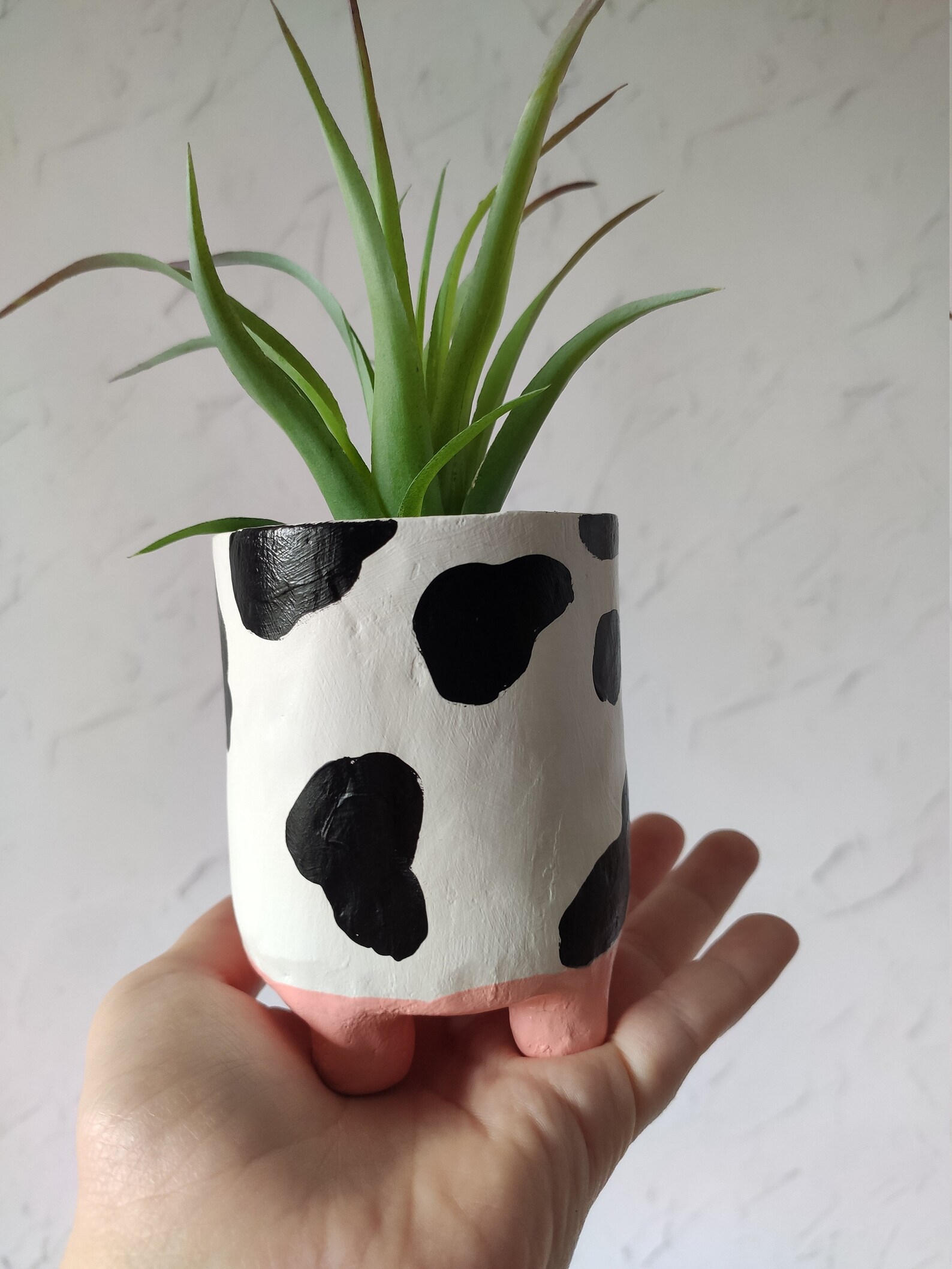 Cow Pot With Saucer Unique Pots for Plants Cow Print Pot With - Etsy