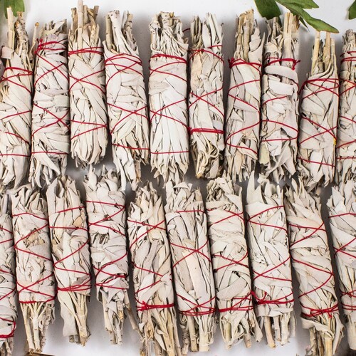 California White Sage 4 Smudge Stick Bundle Ceremonial | Etsy