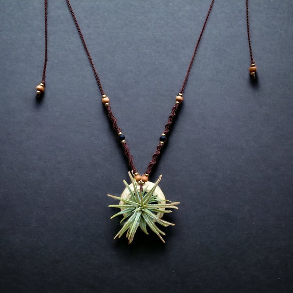 Plant Jewelry - Etsy