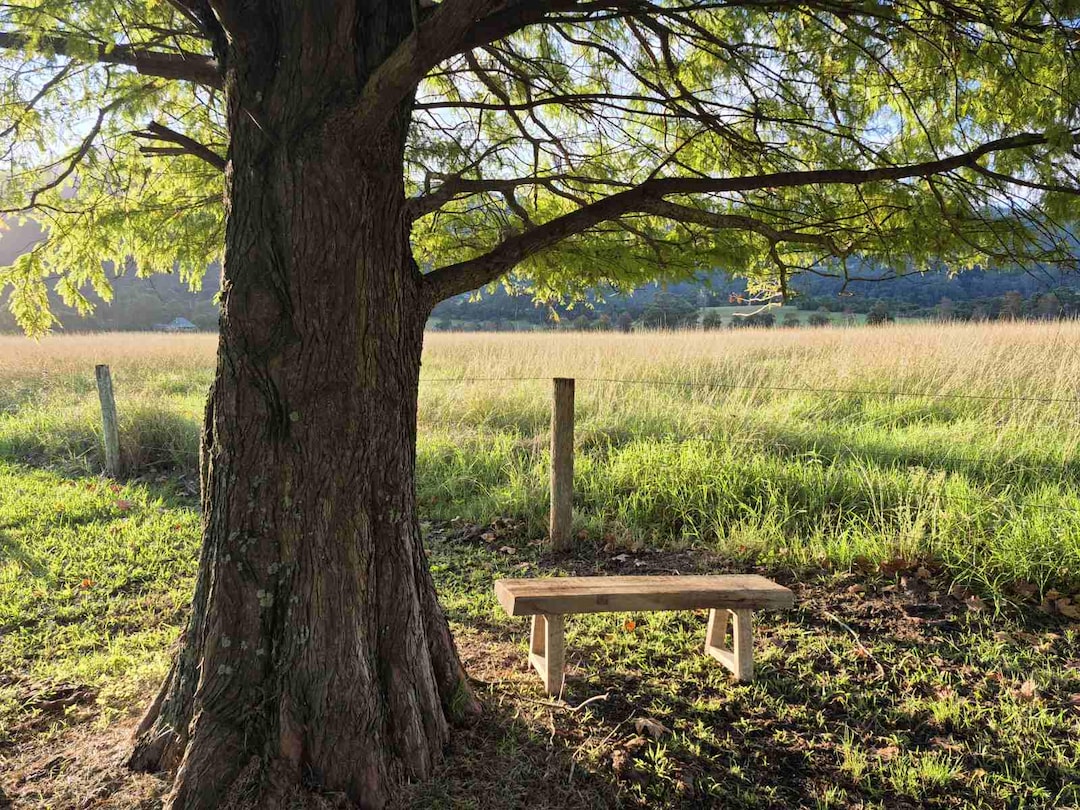 Rustic Timber Bench Seat - Etsy