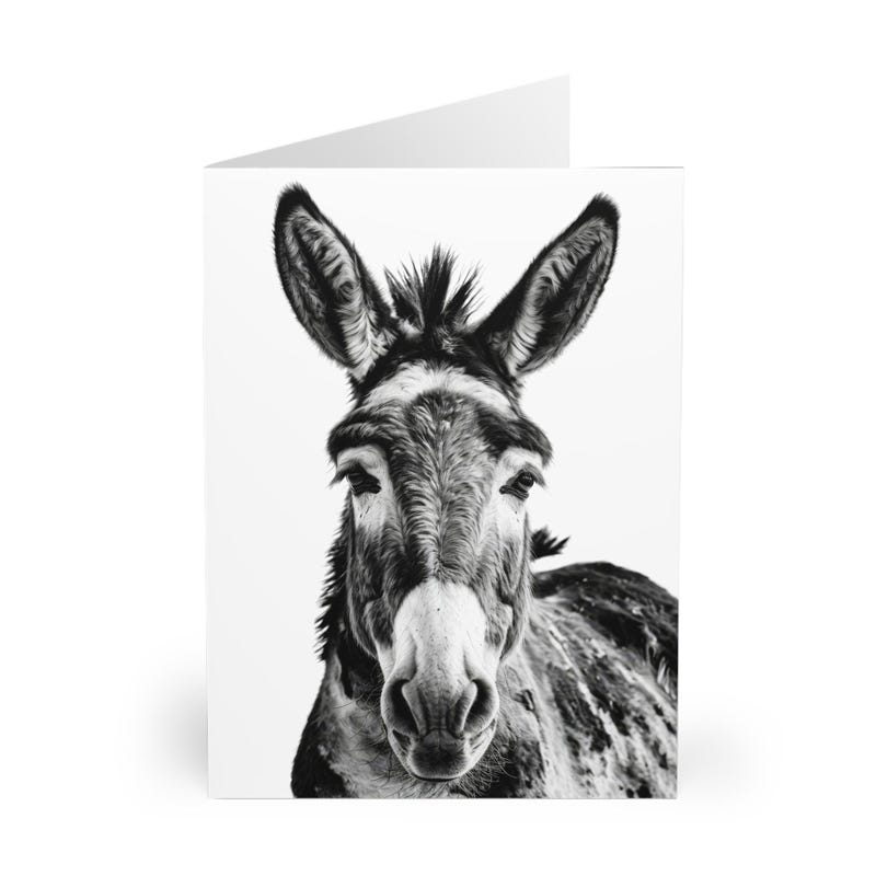 Donkey Card - Etsy