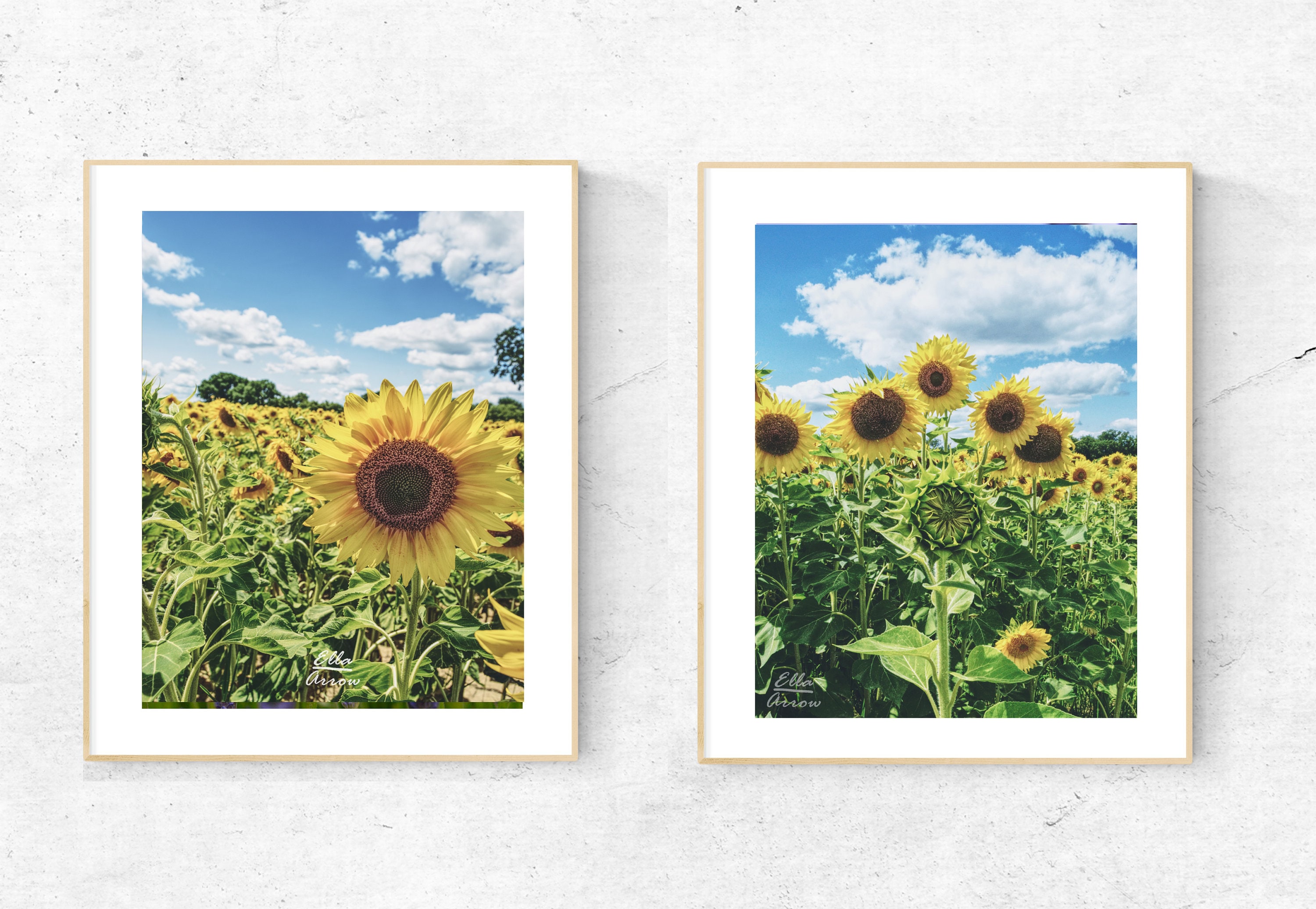 Say Hi, Sunflower (digital Image), Forest Photo Instant Digital ...