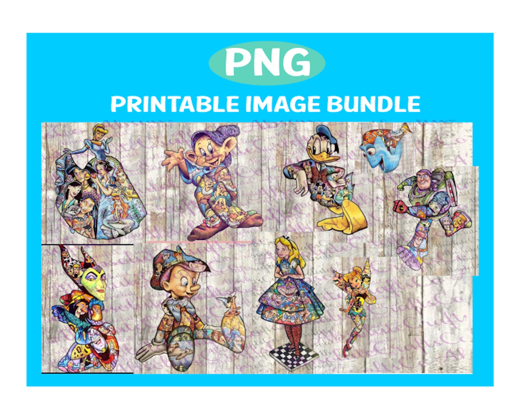 Disney Character within Character Decal Bundle Waterslide | Etsy