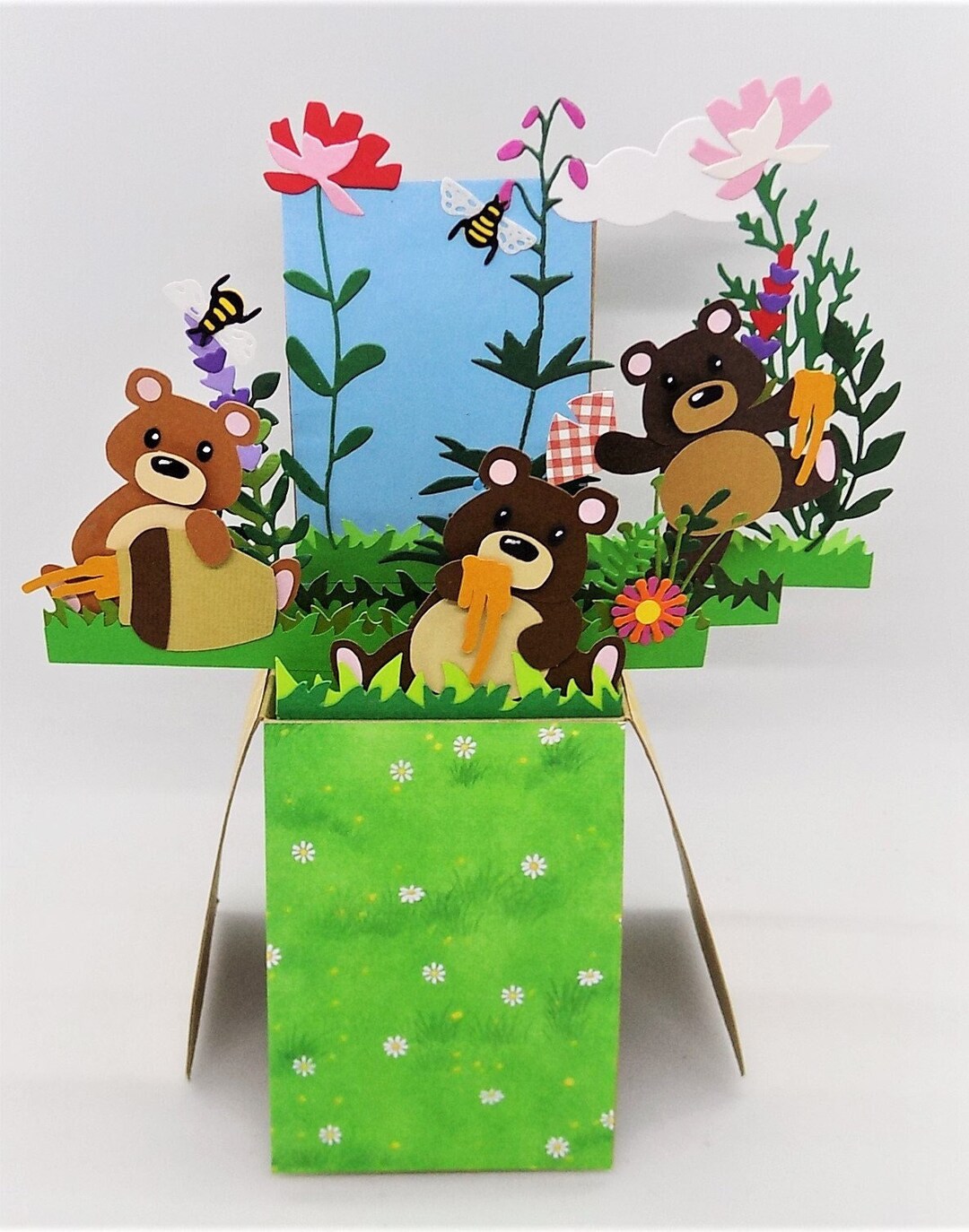 Teddy Bear Card 3D Pop Up, Birthday, Congratulations, Exploding Box ...