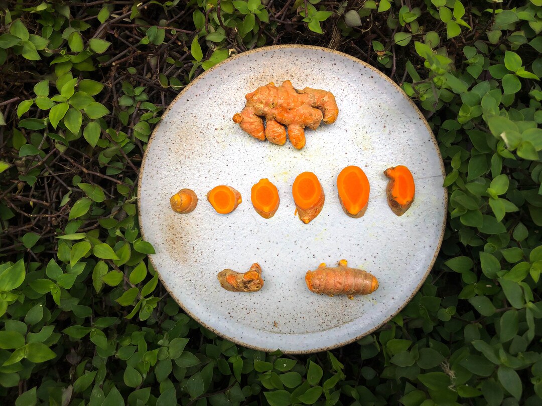 Buy 5 Lb Certified Hawaiian Turmeric Roots Naturally Organically Grown ...