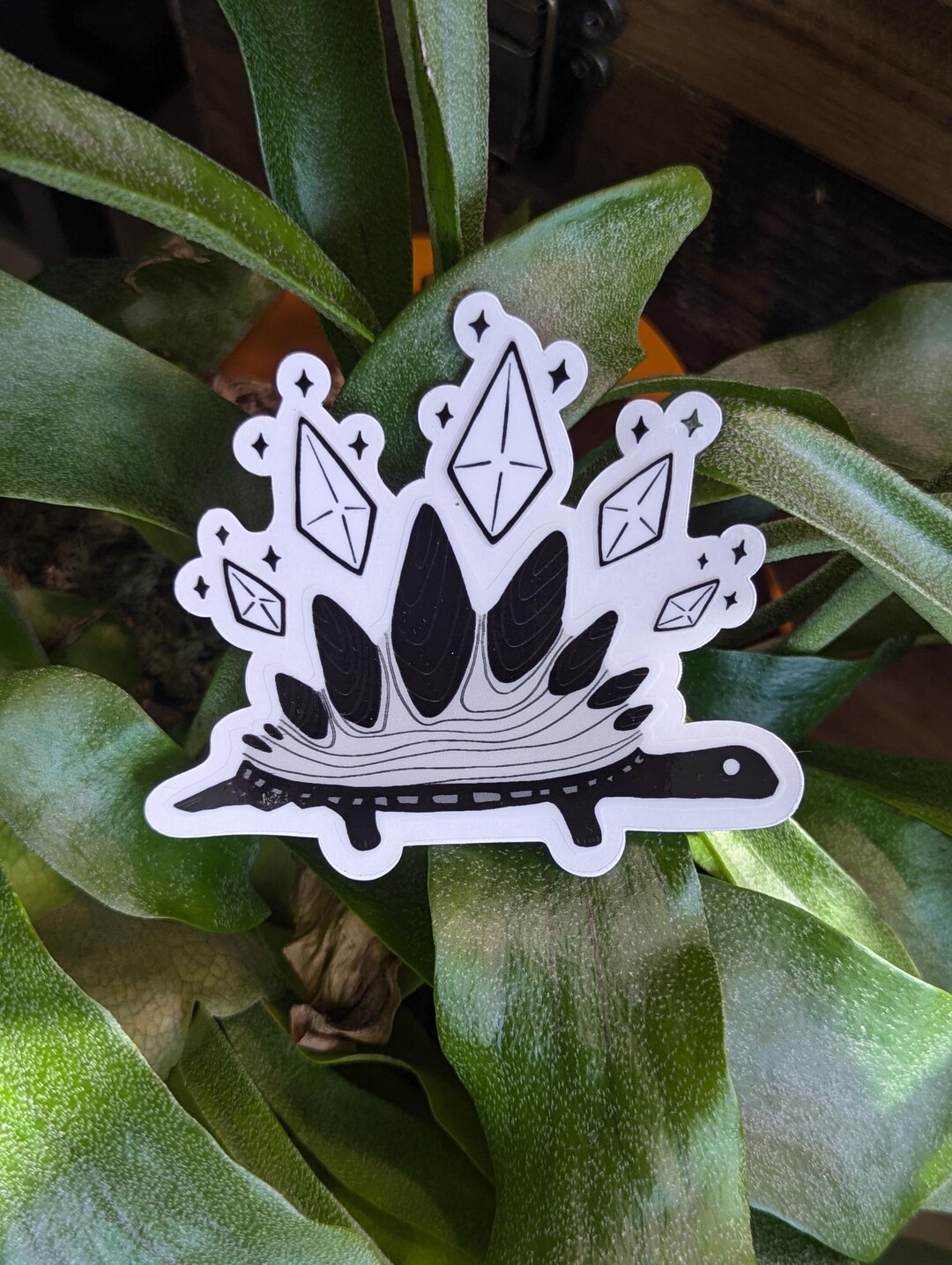 TURT | 4x4" Clear Laminated Die Cut Stickers. Turtle, Crystal, Dino ...
