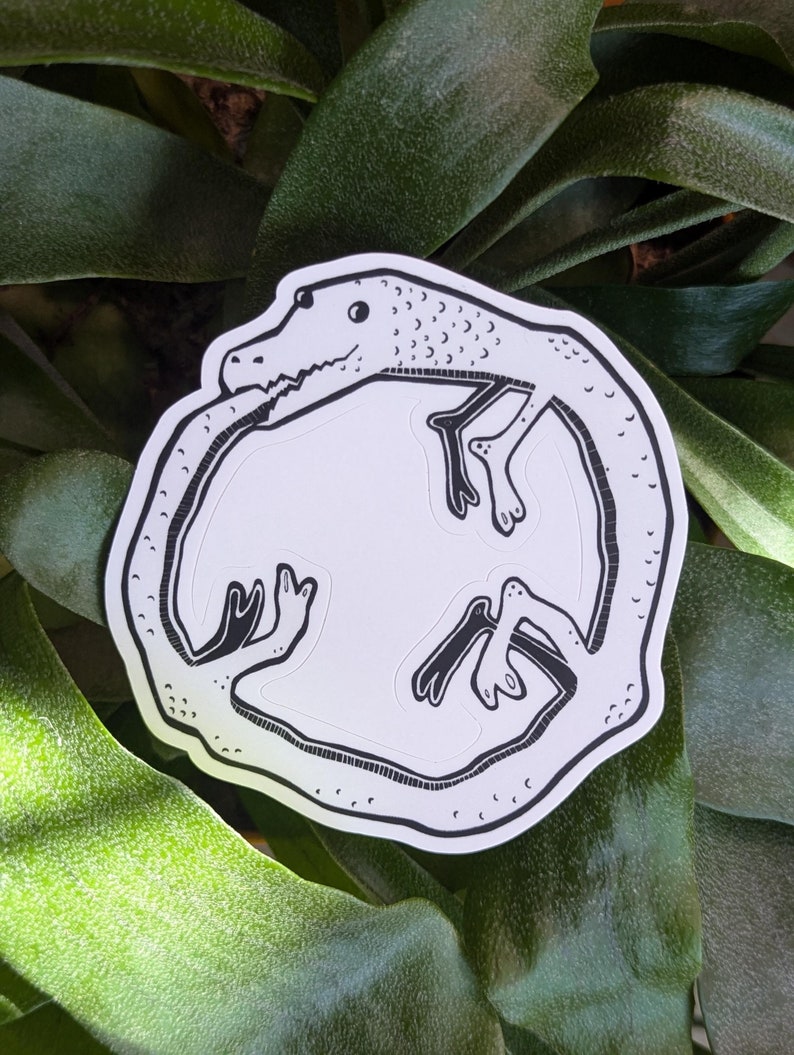 OROBORO | 4x4" Matte Laminated Kiss Cut Sticker. Gator, Oroborous ...