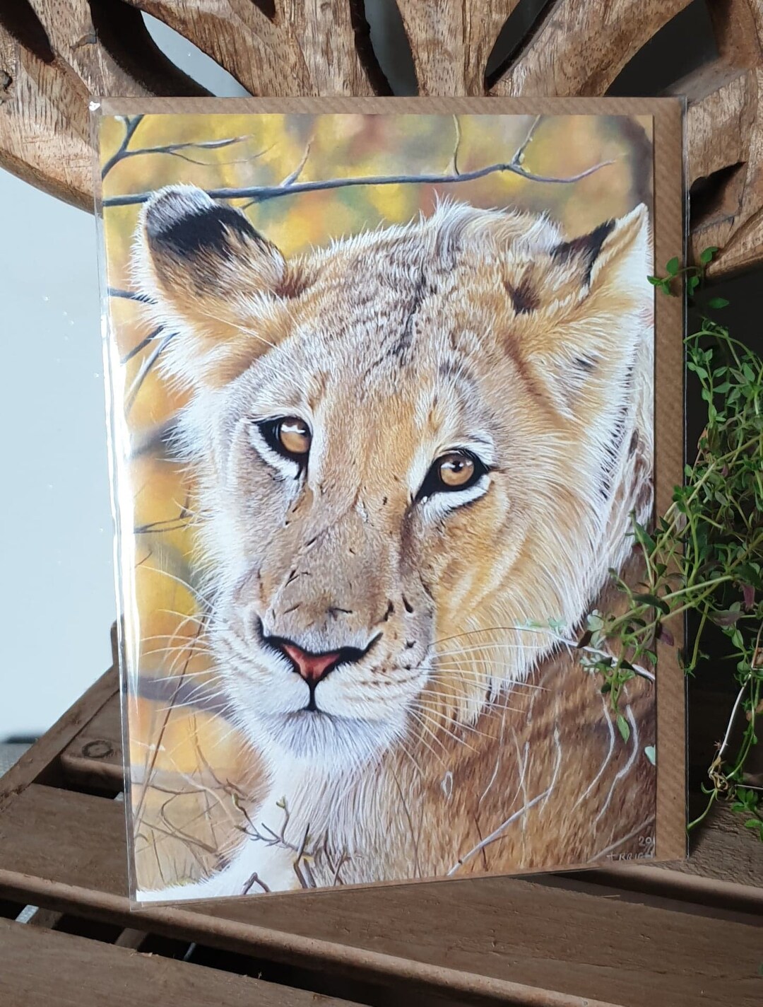 Lion Greetings Card - Available as a Single Card or a Pack of Five - Etsy