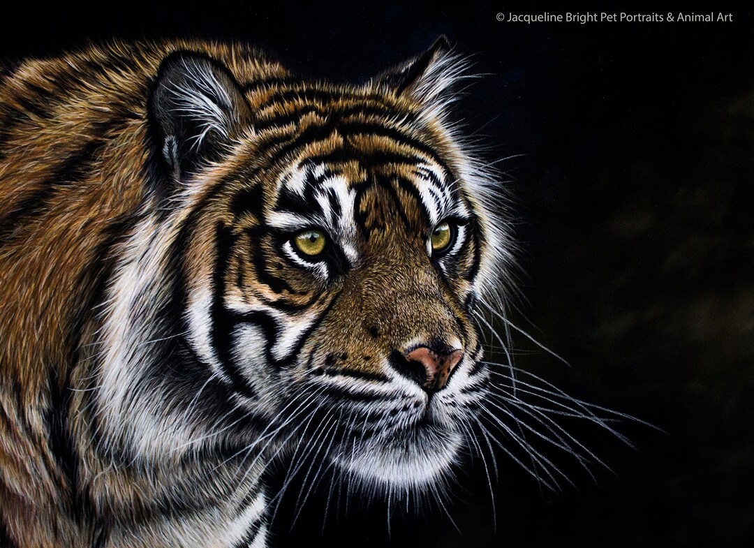 A3 Tiger print 'Prey In sight' from an original pastel drawing - Etsy.de