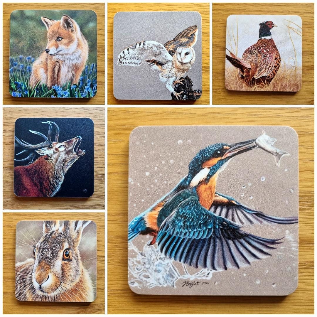 British Wildlife Single Coasters - From Original Pastel Drawings From ...