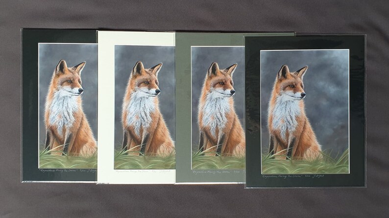 A4 Red Fox Print 'reynardine Facing the Storm' From - Etsy