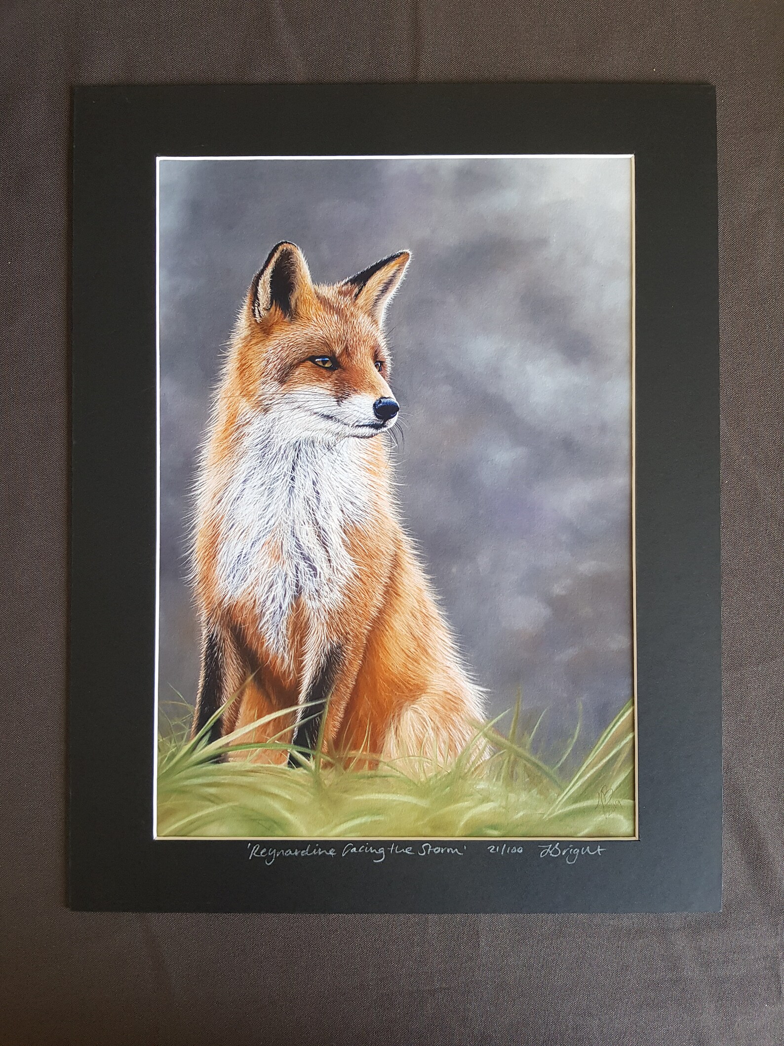 A4 Red Fox Print- 'reynardine Facing the Storm' - From an Original ...
