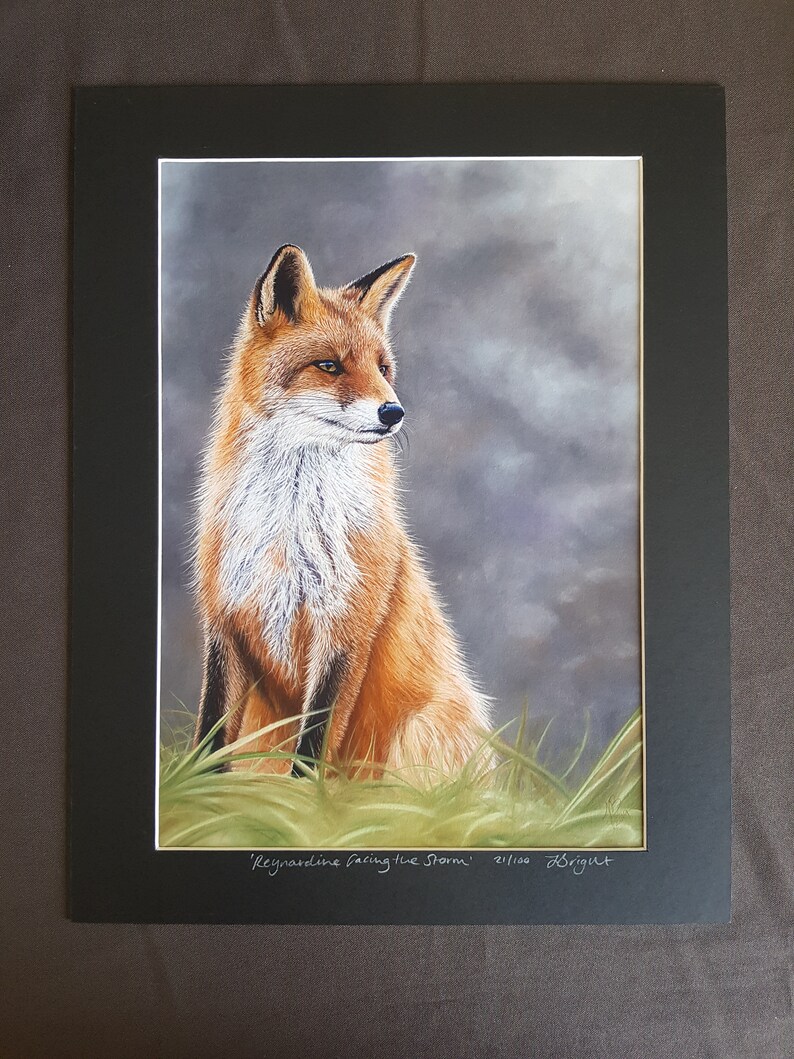 A4 Red Fox Print- 'reynardine Facing the Storm' - From an Original ...