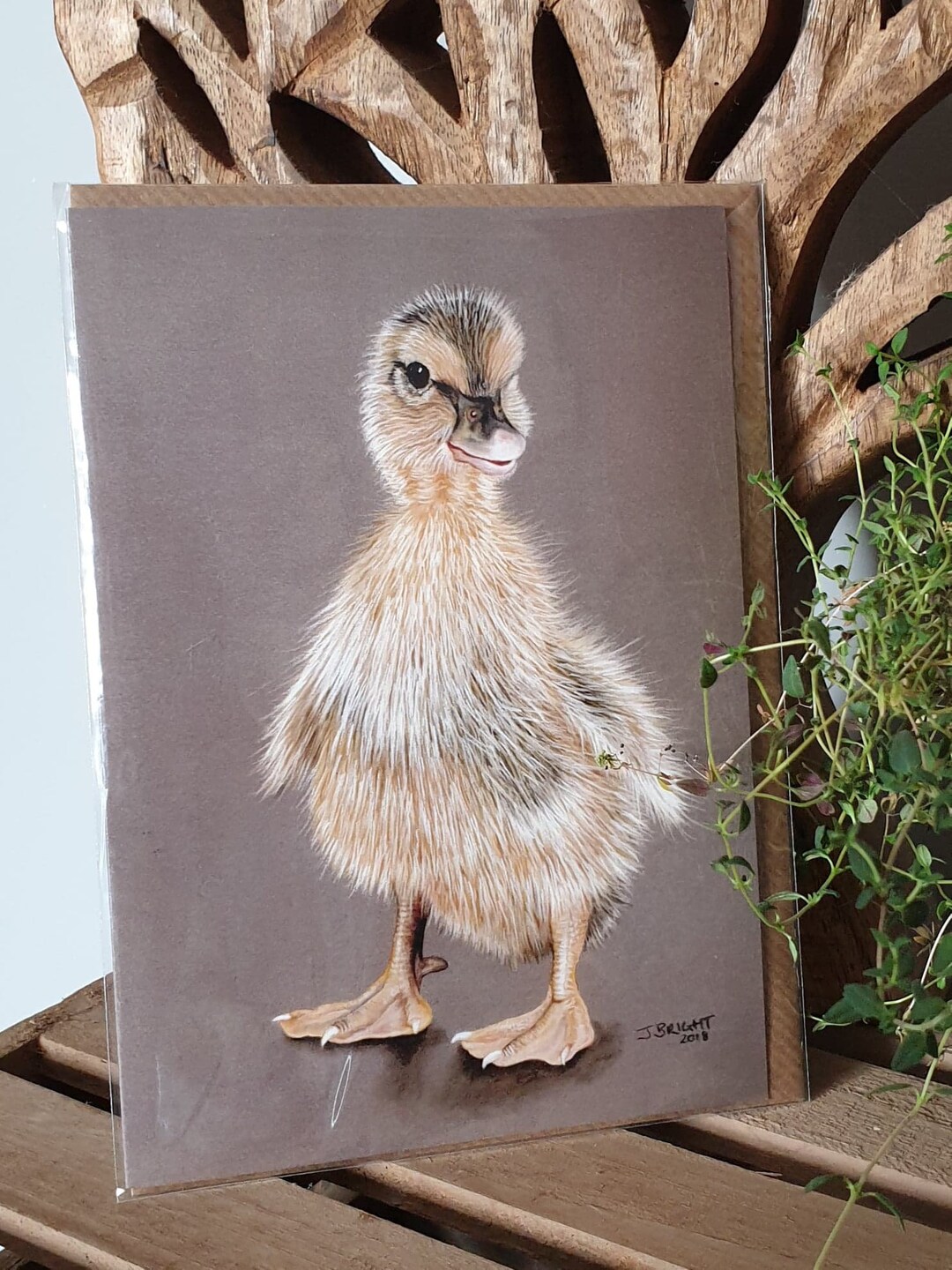 Duckling Greetings Card Available as a Single Card of a Pack of Five - Etsy