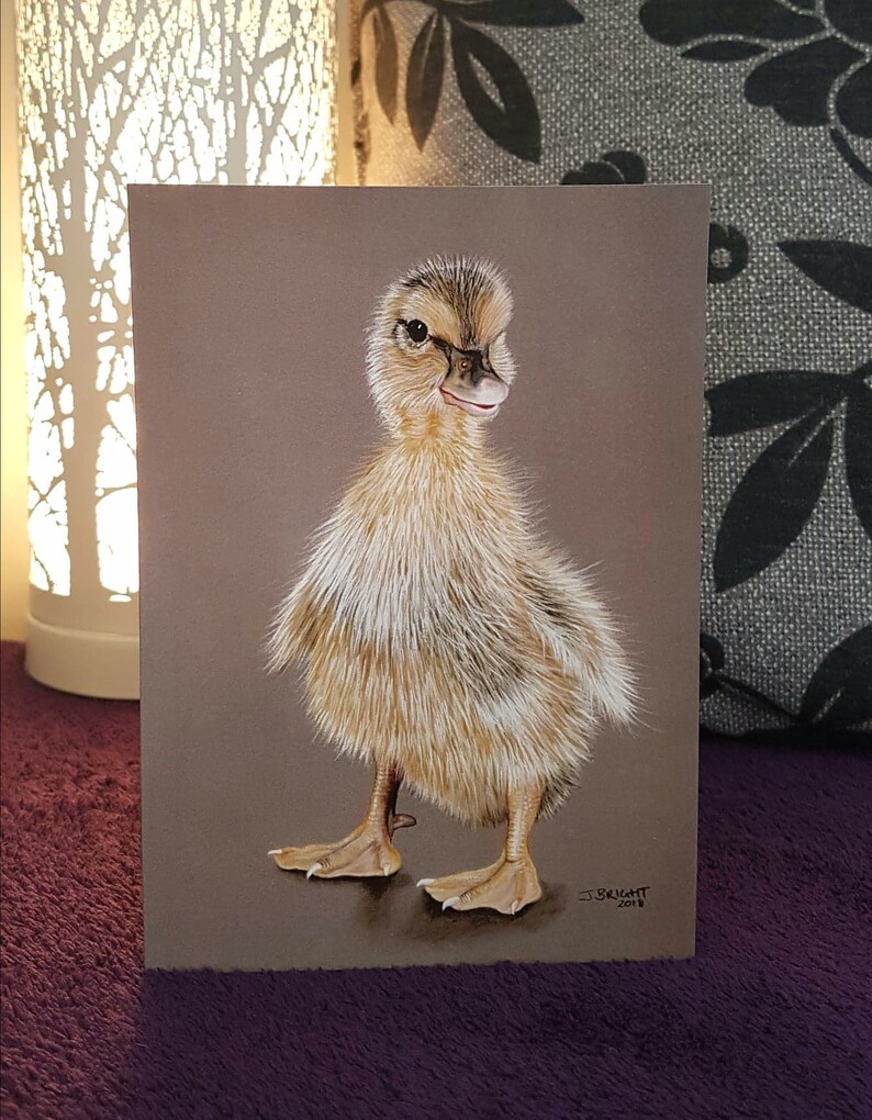 Duckling Greetings Card Available as a Single Card of a Pack of Five - Etsy