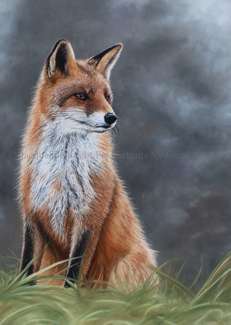 A4 Red Fox Print- 'reynardine Facing the Storm' - From an Original ...