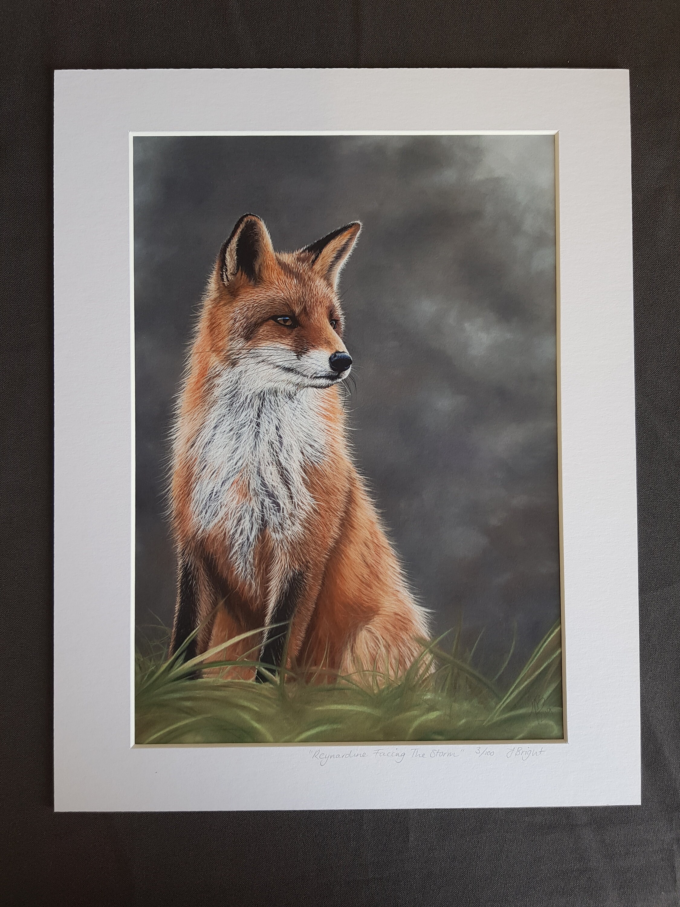A4 Red Fox Print- 'reynardine Facing the Storm' - From an Original ...