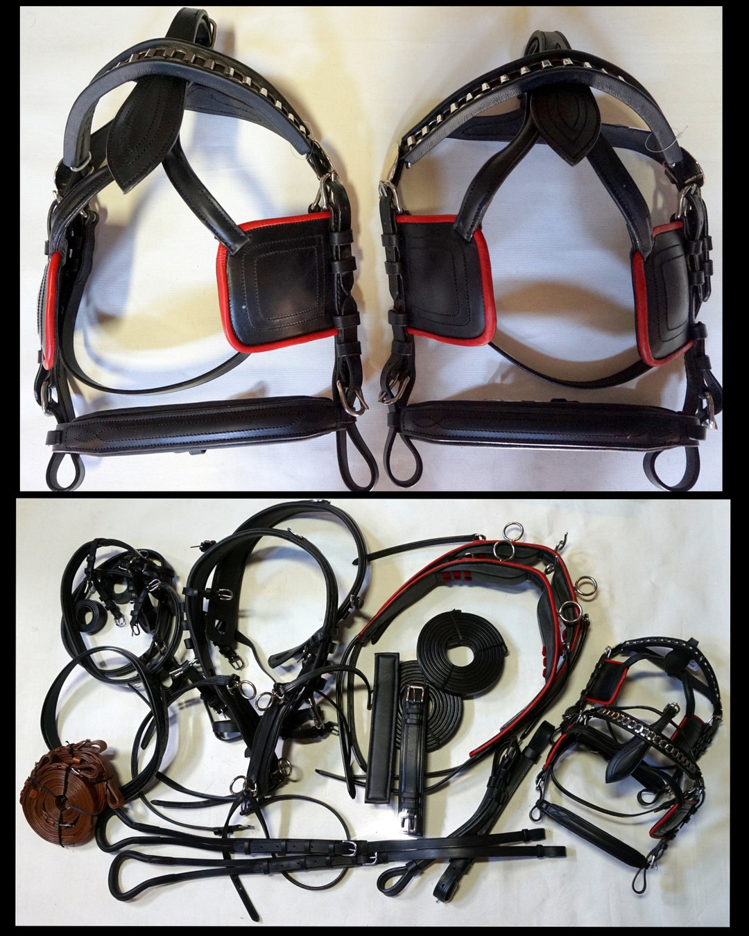 Black & Red Accents HORSE TEAM Harness Driving Heavy Duty Breastcollar ...