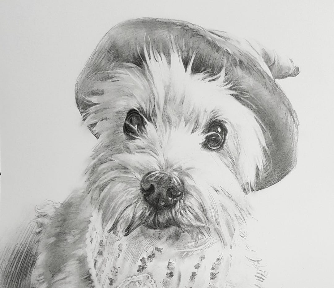 Drawing Upon Photo Template of Pet on Dina3,, Ideal Gift Idea for All ...