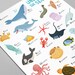 Under the Sea Alphabet Printable Art, Underwater Creatures Print for ...