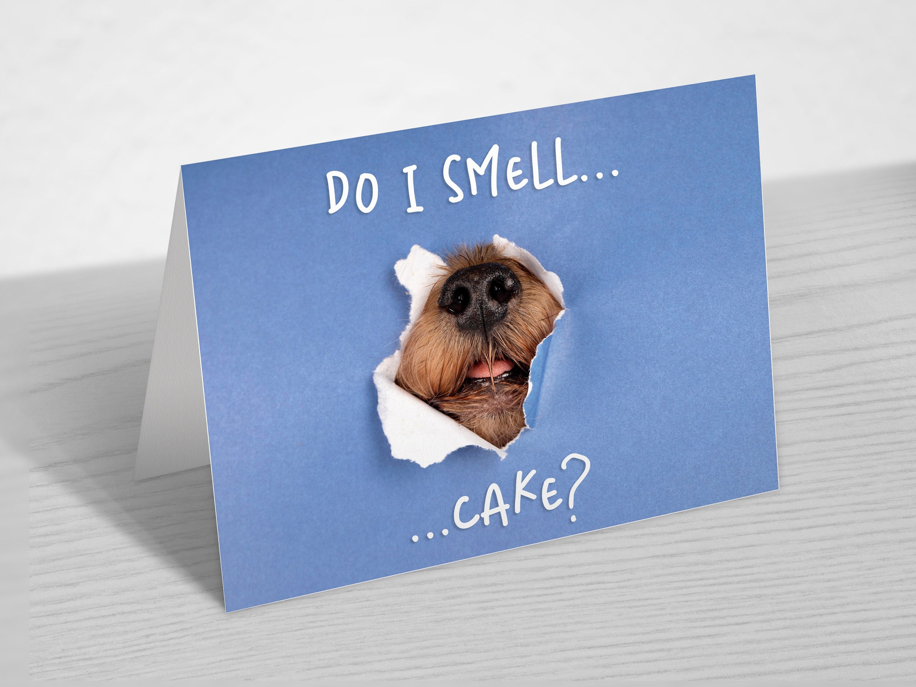 Funny Dog Peeking Through Card - Dog Birthday Card - Card From the Dog ...