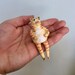 Handmade Polymer Clay Sitting Mini Animal Figurine Gift Set - Etsy