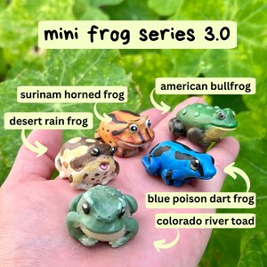 Handmade Clay Mini Cute Frog Friend Figurine Pack | Made to Order Hand ...