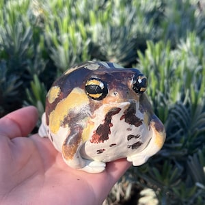 Handmade Mini Fat Brown Yellow Desert Rain Frog Figurine Gift Small ...