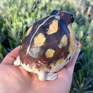 Handmade Mini Fat Brown Yellow Desert Rain Frog Figurine Gift Small ...