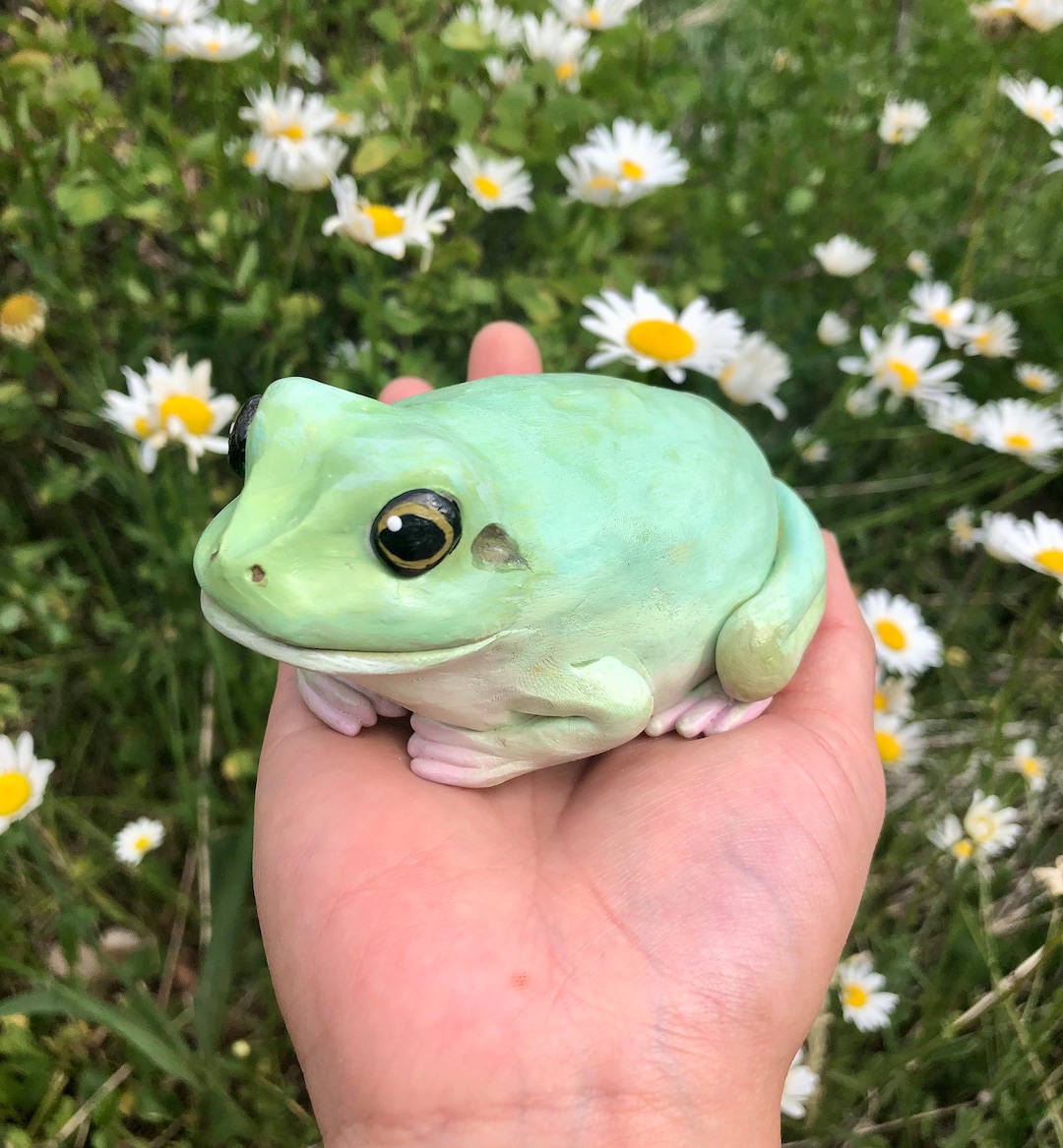 Green Tree Frog Tunersread green-tree-frog-tunersread