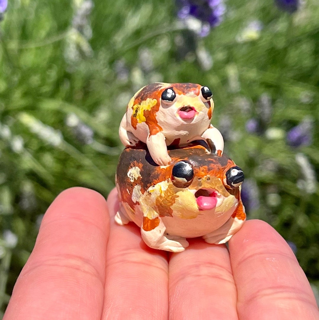 Handmade Polymer Clay Angry Screaming Desert Rain Frogs - Etsy