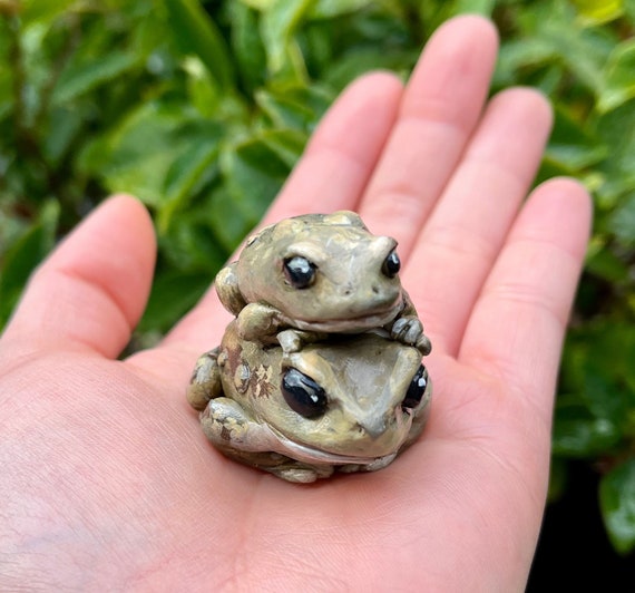 Cutest Toad