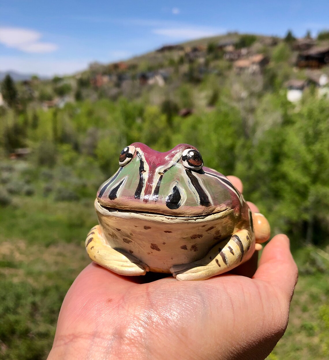 Handmade Polymer Clay Thick Green Pink Yellow Pet Pacman Frog | Etsy