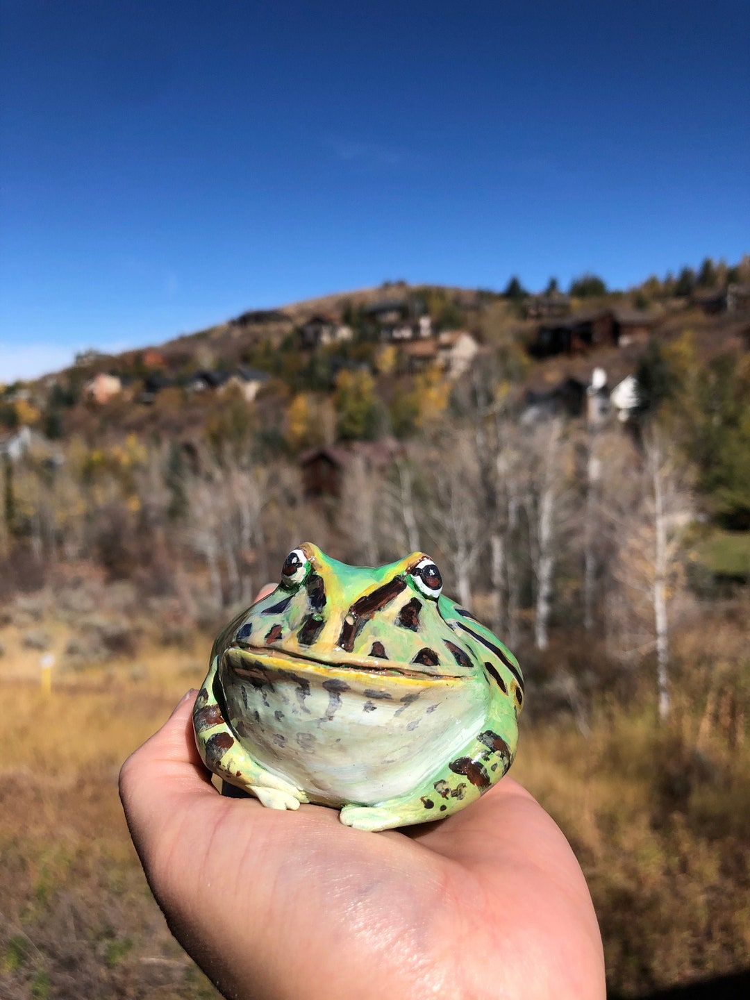 Handmade Polymer Clay Thick Green Pink Yellow Pet Pacman Frog Figurine ...
