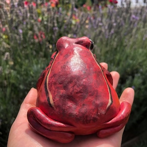 Handmade Polymer Clay Tomato Frog Figurine Gift | Hand-painted ...