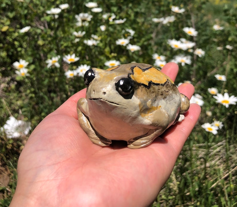 Handmade Polymer Clay Chubby Banded Potato Frog Figurine - Etsy