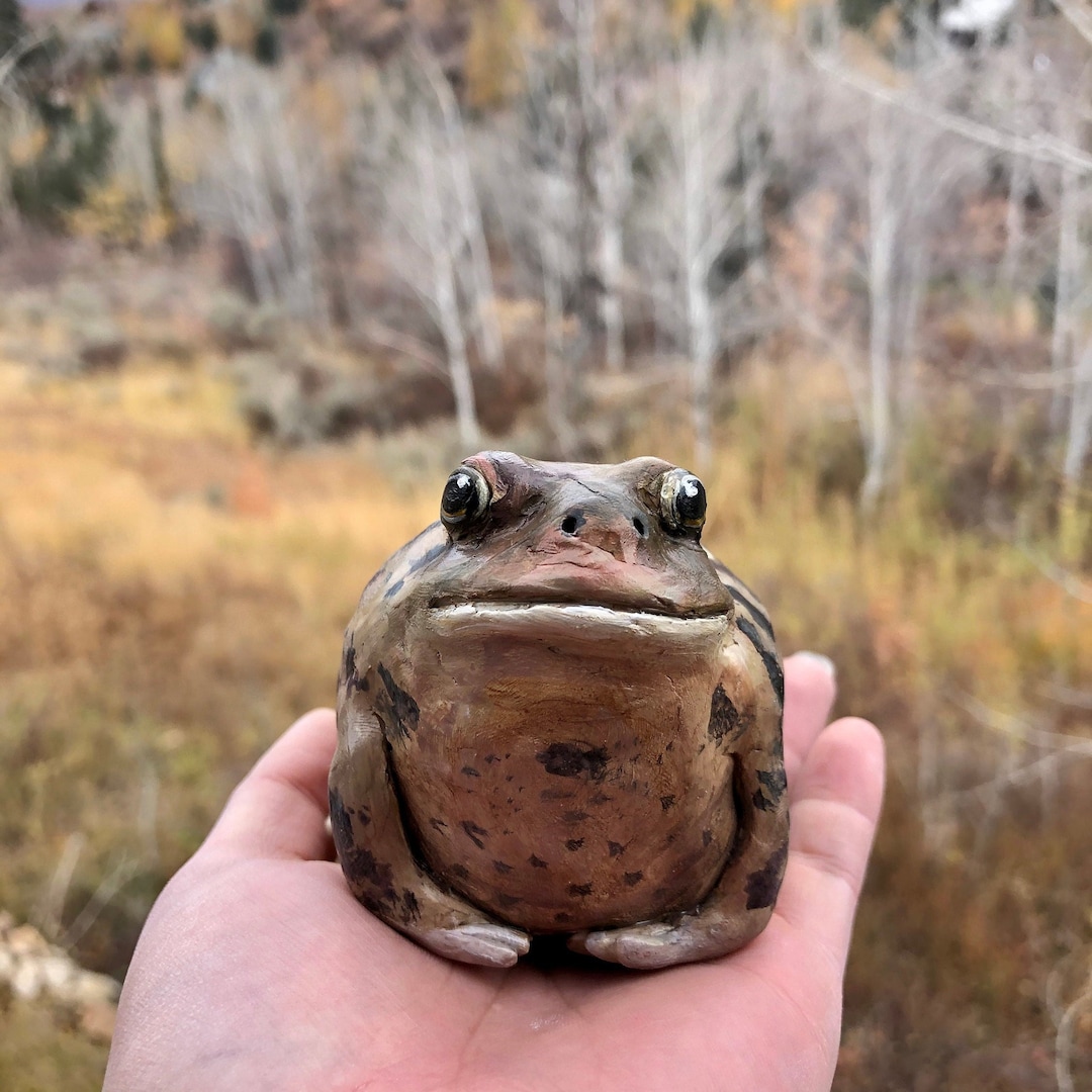 Hand-painted Polymer Clay American Toad Figurine: Fall Decor - Etsy