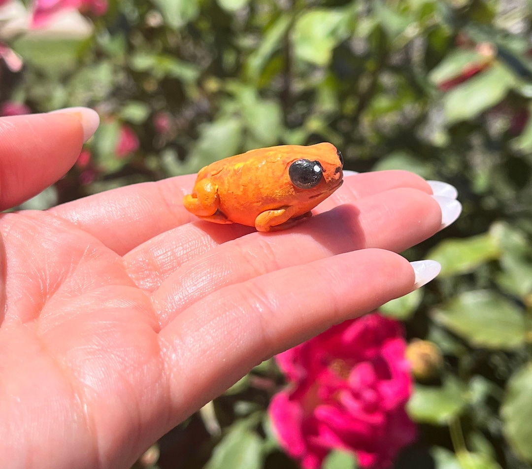 Handmade Hand-painted Polymer Clay Mini Orange Pumpkin Toadlet - Etsy