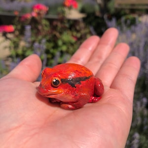 Handmade Polymer Clay Tomato Frog Figurine Gift | Hand-painted ...