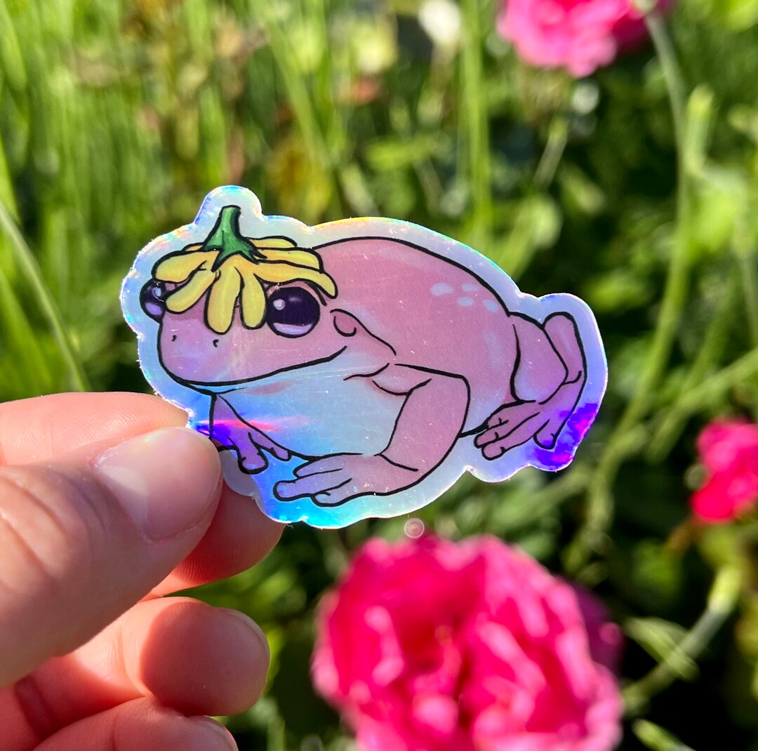 Holographic Rainbow Flower Hat Pink Frog Sticker | Colorful Cute ...