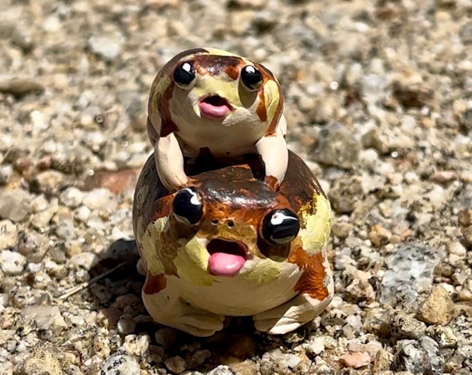 Handmade Polymer Clay Angry Screaming Black Desert Rain Frogs Figurine ...
