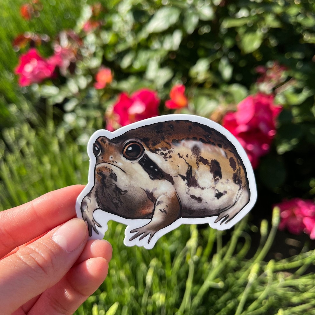 Angry Desert Rain Frog Vinyl Sticker Grumpy Speckled Brown Beige Pet ...