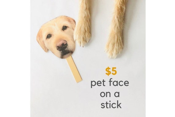 Pet face on a stick | Etsy