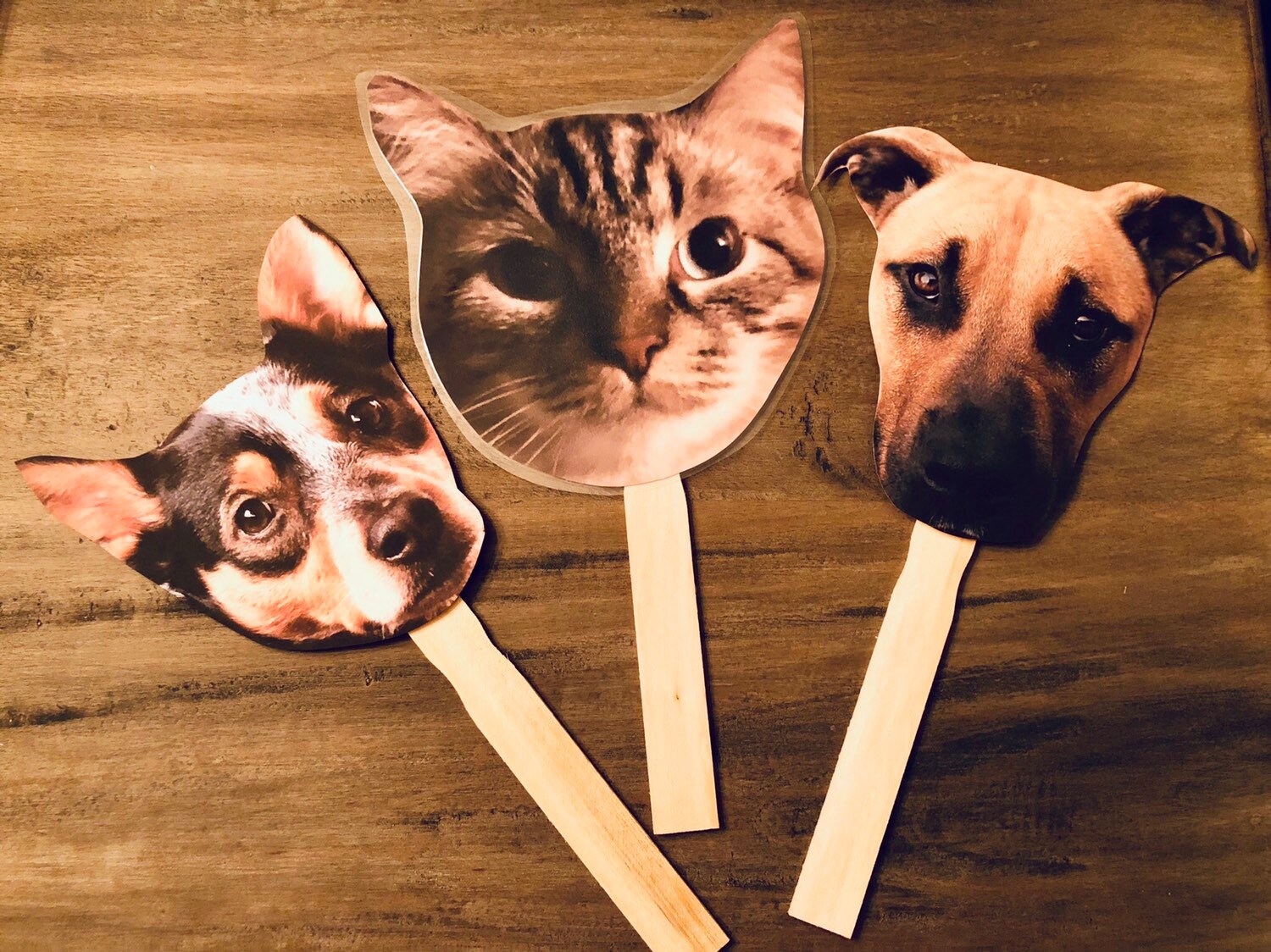 Pet Face on a Stick | Etsy