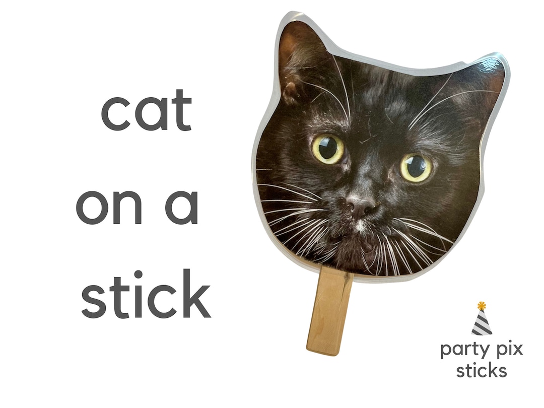 Cat Face on a Stick - Etsy