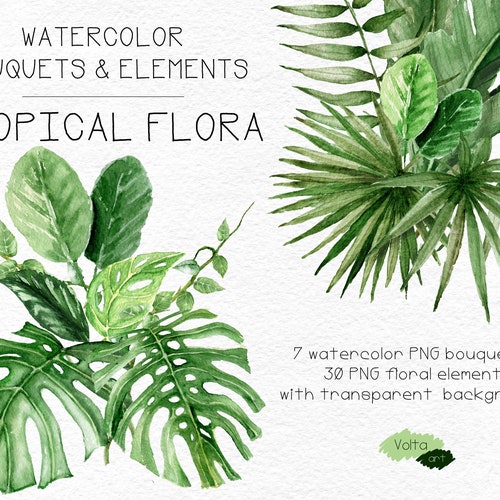 Watercolor Tropical Leaves Clipart. Hand Drawn Greenery | Etsy