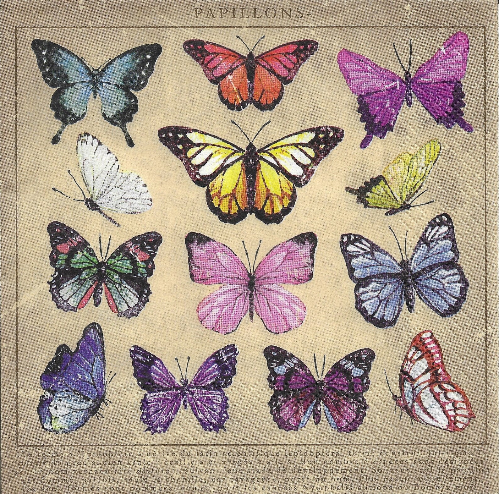 Decoupage Lunch Napkins Set of Two - Etsy Canada